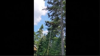 Height of Land 2 Meter 2 Meter Radio Antenna