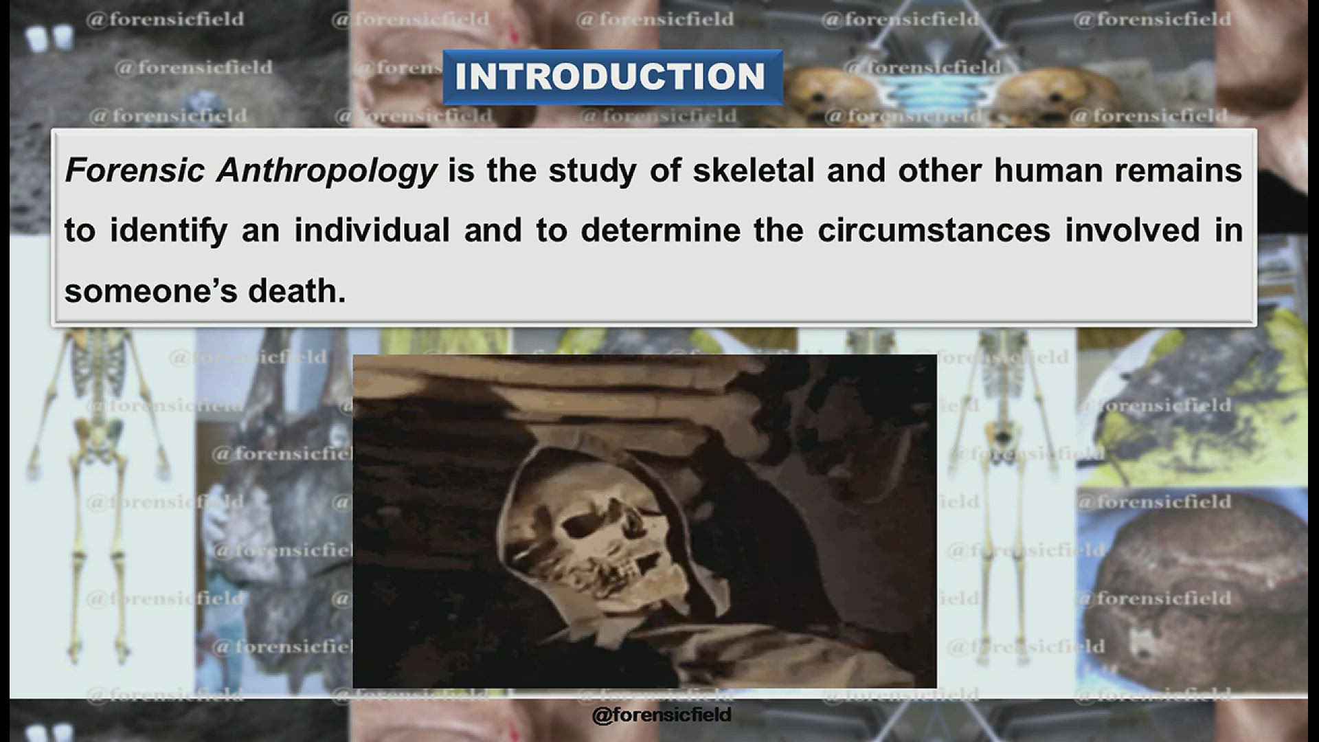Forensic Anthropology | Open Video