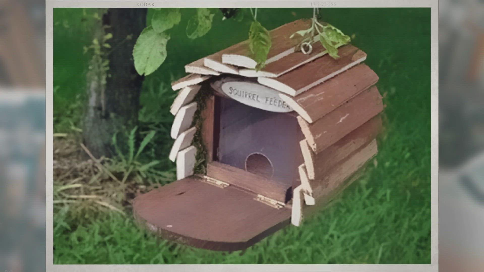 4 Unbelievable Squirrel House Plans and Designs